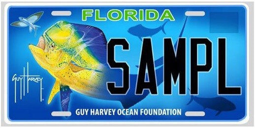 Custom Florida License Plates – Escambia County FL ...